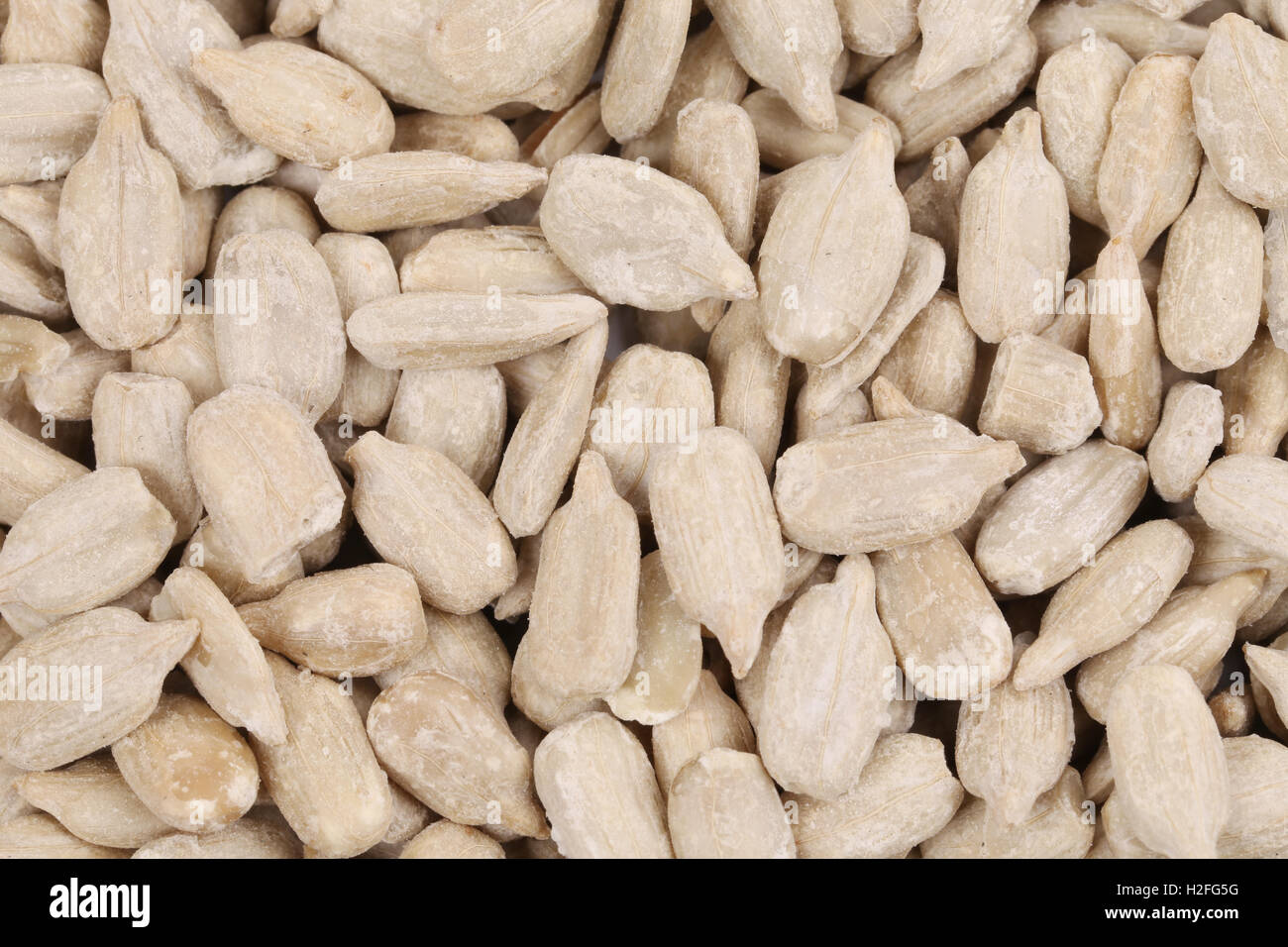 Background of sunflower seeds Stock Photo - Alamy