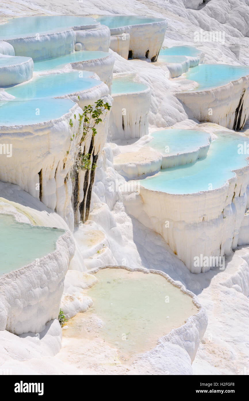 Blue water travertine pools at Pamukkale, Turkey Stock Photo - Alamy