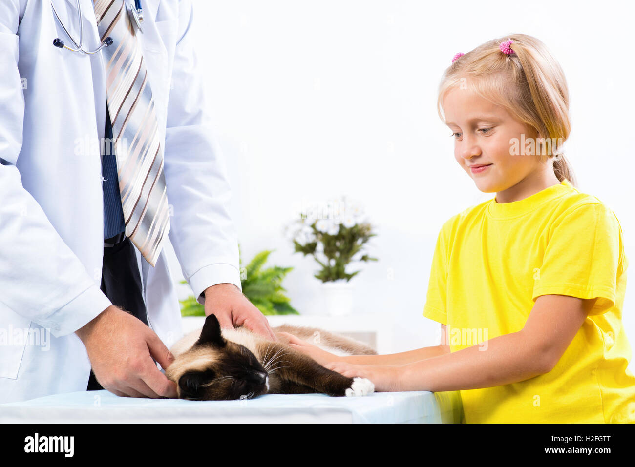 Vet cat inspection hi-res stock photography and images - Alamy