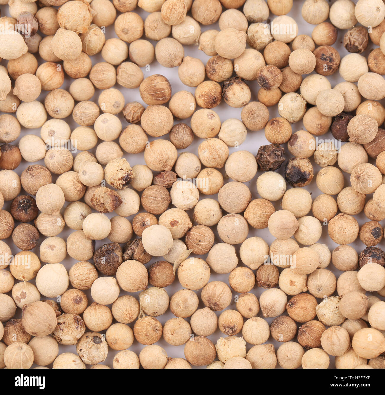 Background of white pepper. Texture Stock Photo - Alamy