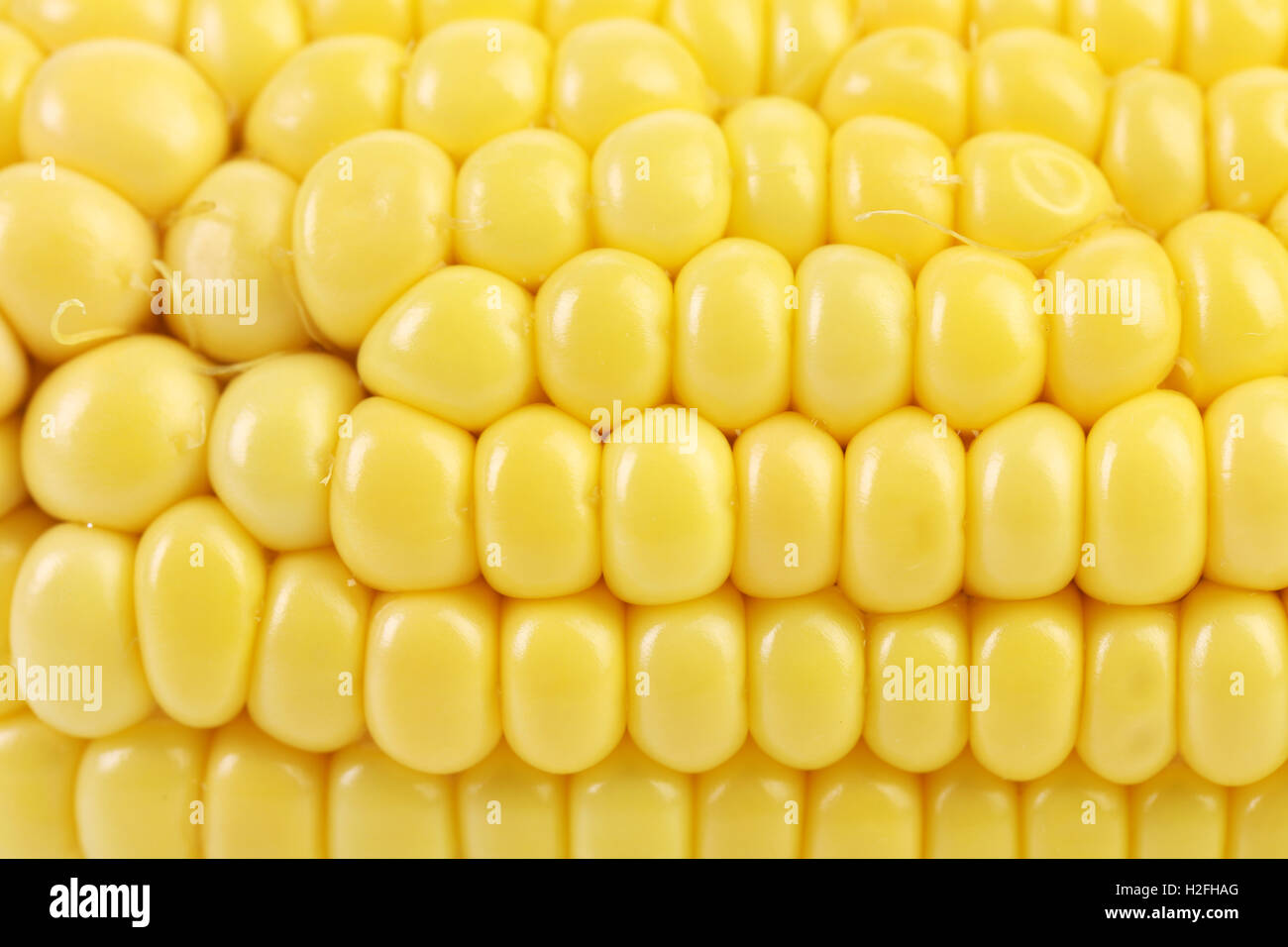 Close up of corn cob Stock Photo - Alamy