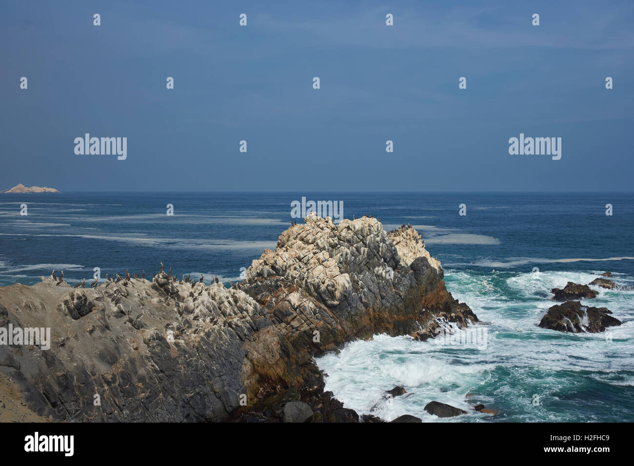 Atacama chile guano hi-res stock photography and images - Alamy