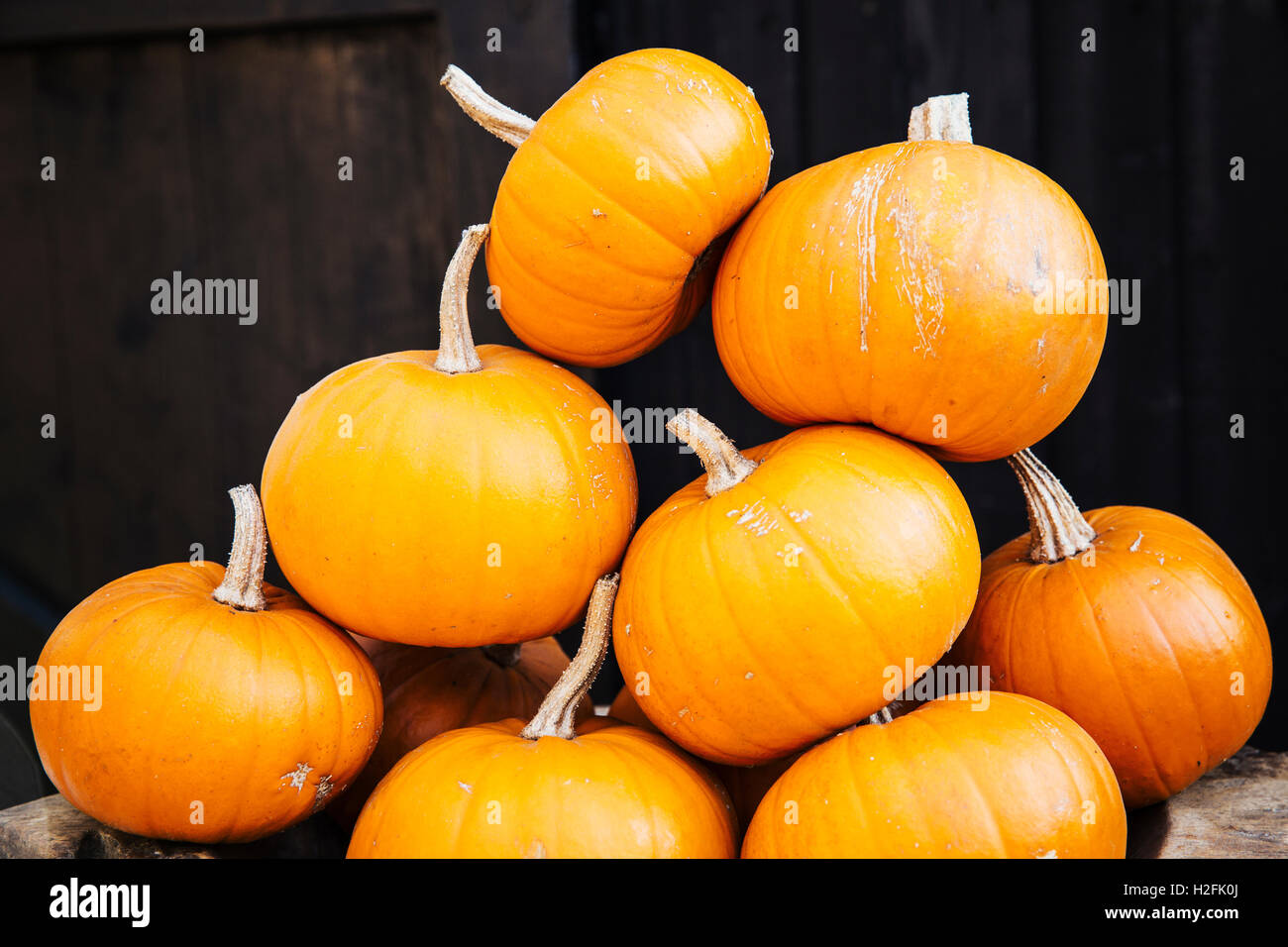 Vivid orange colour hi-res stock photography and images - Alamy