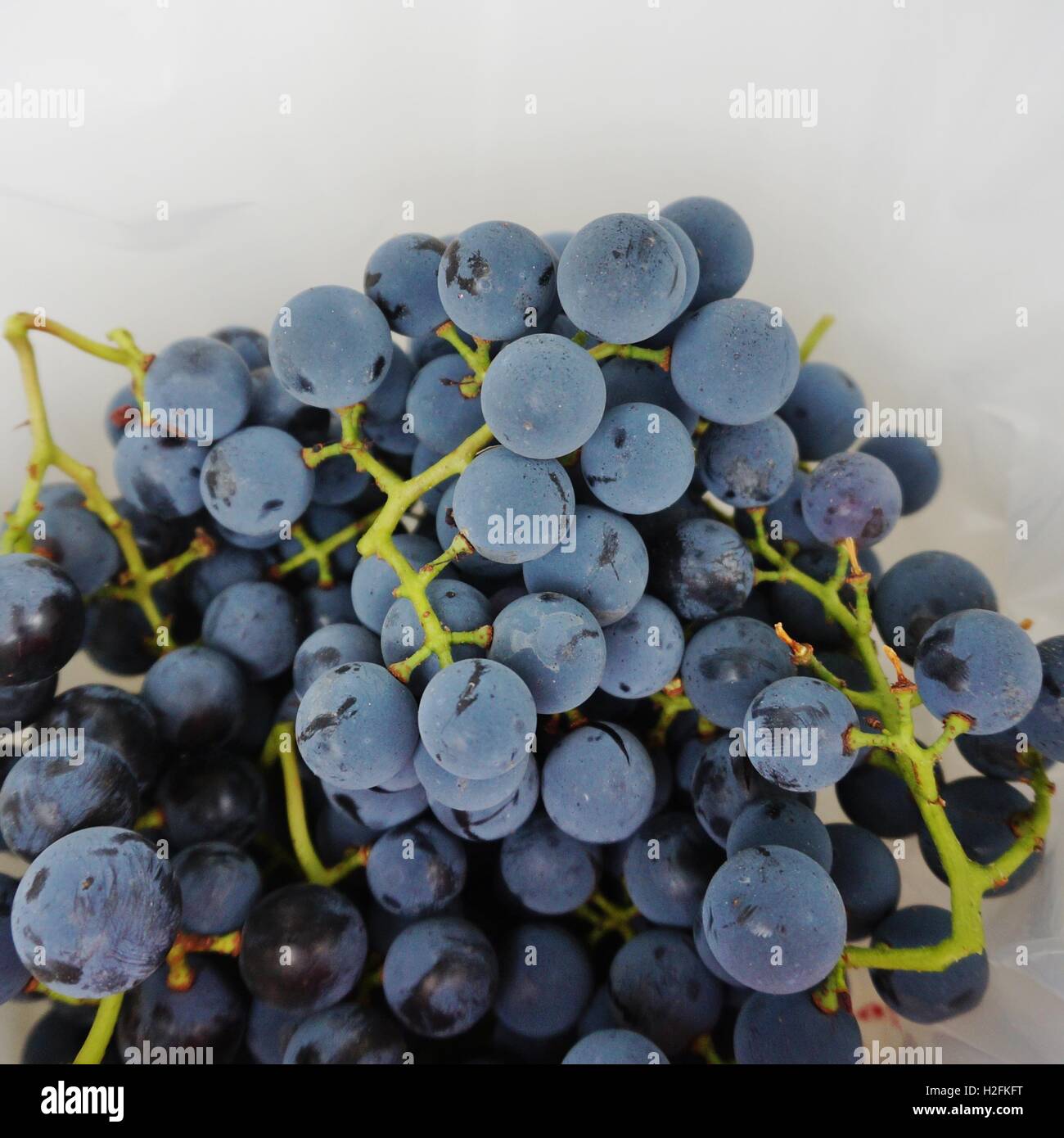 Concord grapes hi-res stock photography and images - Alamy