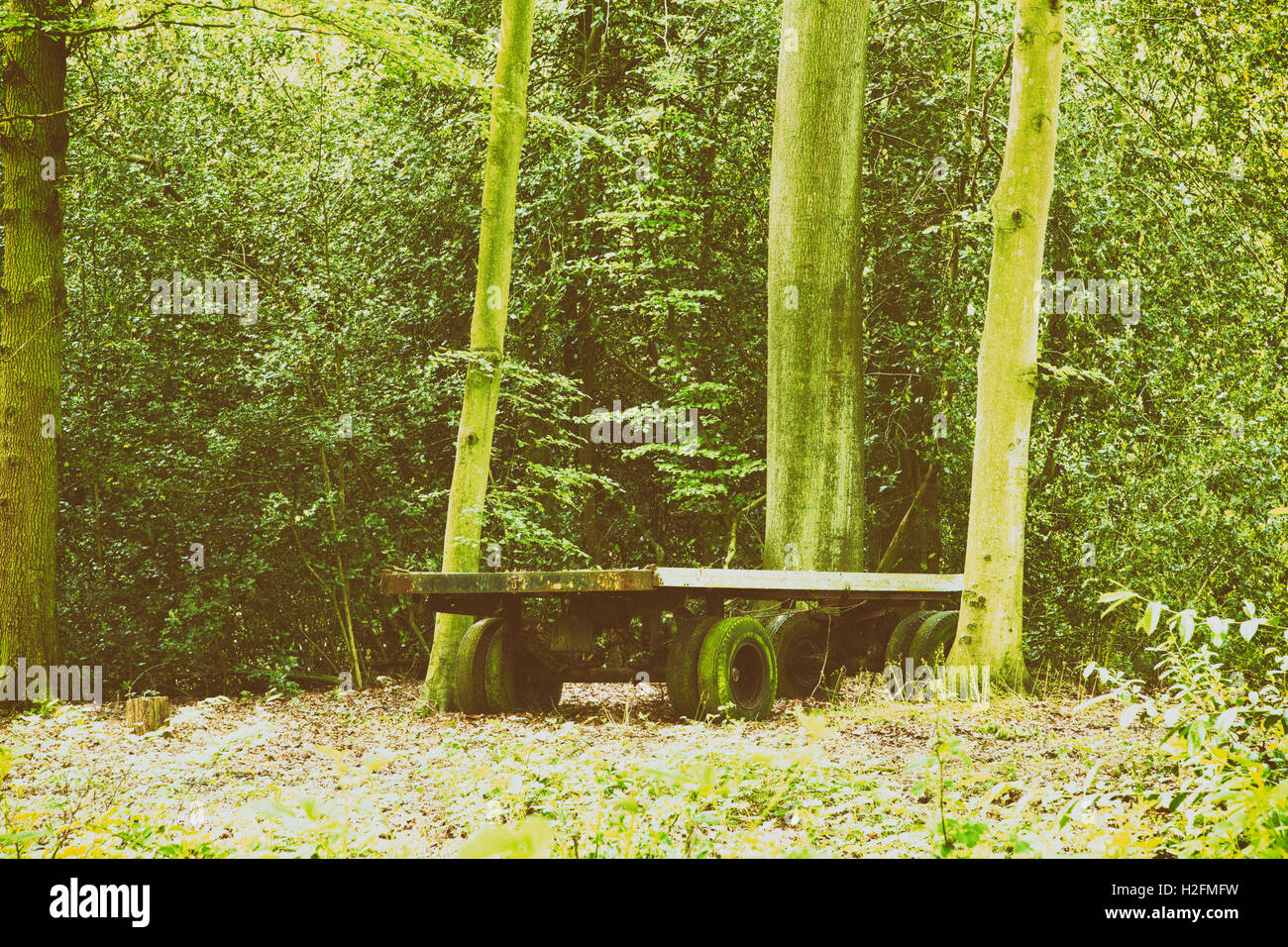 Left in the woods hi-res stock photography and images - Alamy