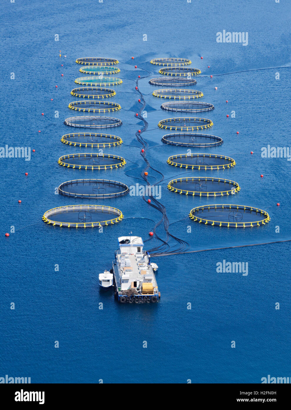 Fish farm in Croatia Stock Photo - Alamy