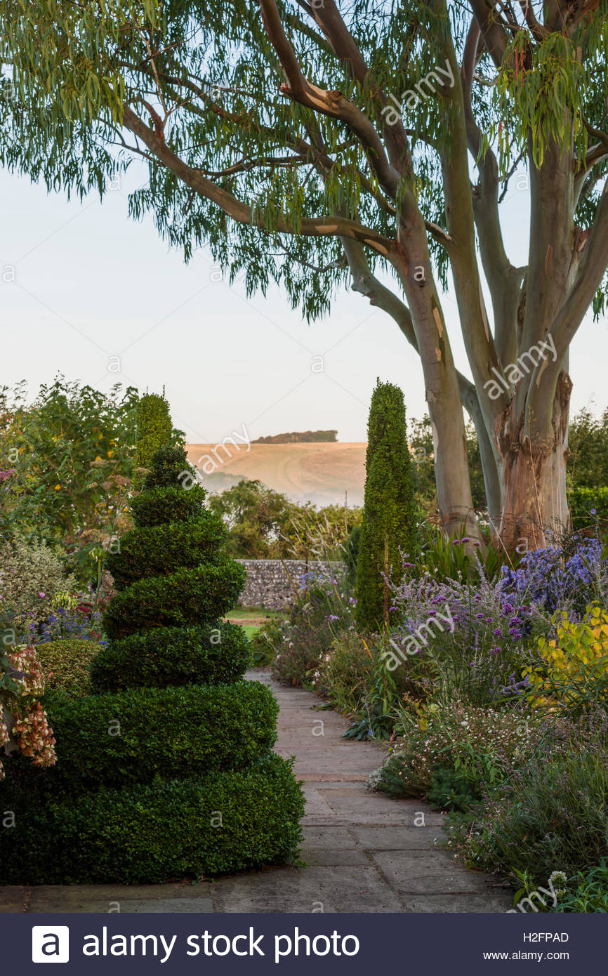Boxwood Borders Stock Photos & Boxwood Borders Stock Images - Alamy