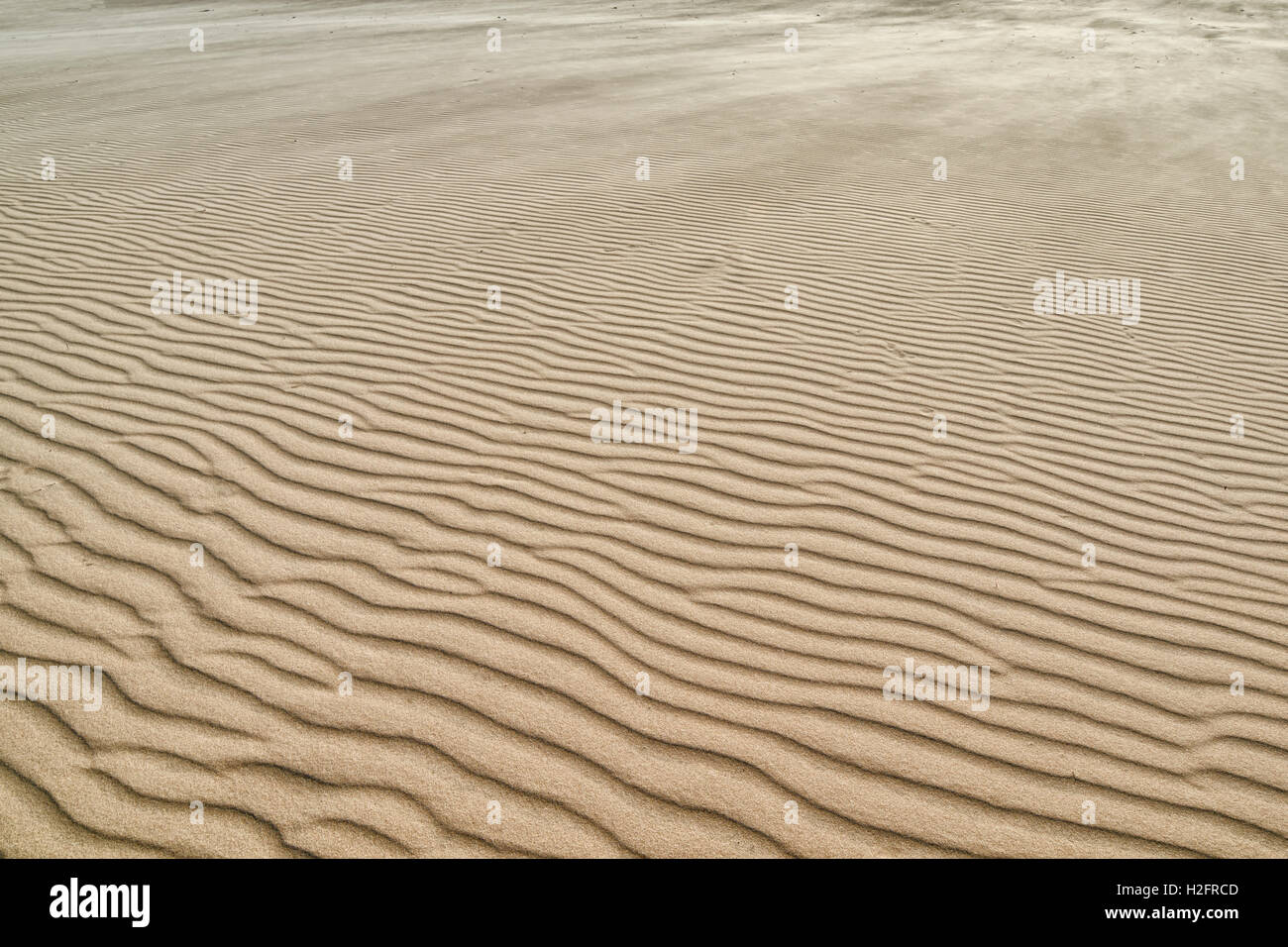 Sand dunes texture background Stock Photo - Alamy