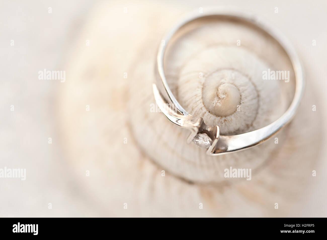 Beautiful engagement ring on a shell Stock Photo - Alamy