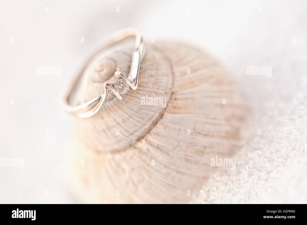 Beautiful engagement ring on a shell Stock Photo - Alamy