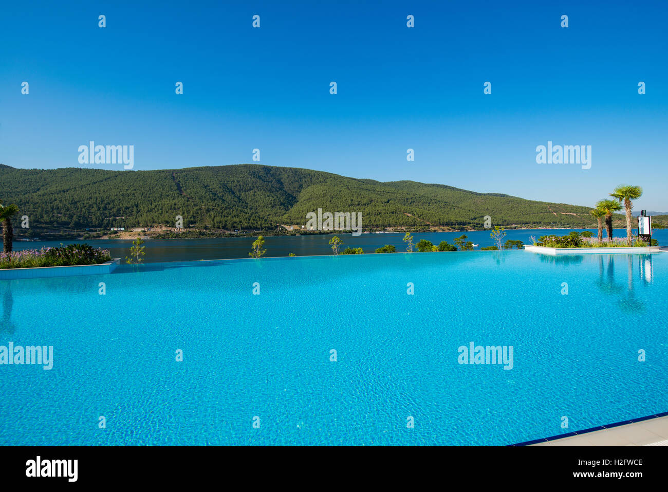 Nice swimming pool outdoors on bright summer day Stock Photo - Alamy