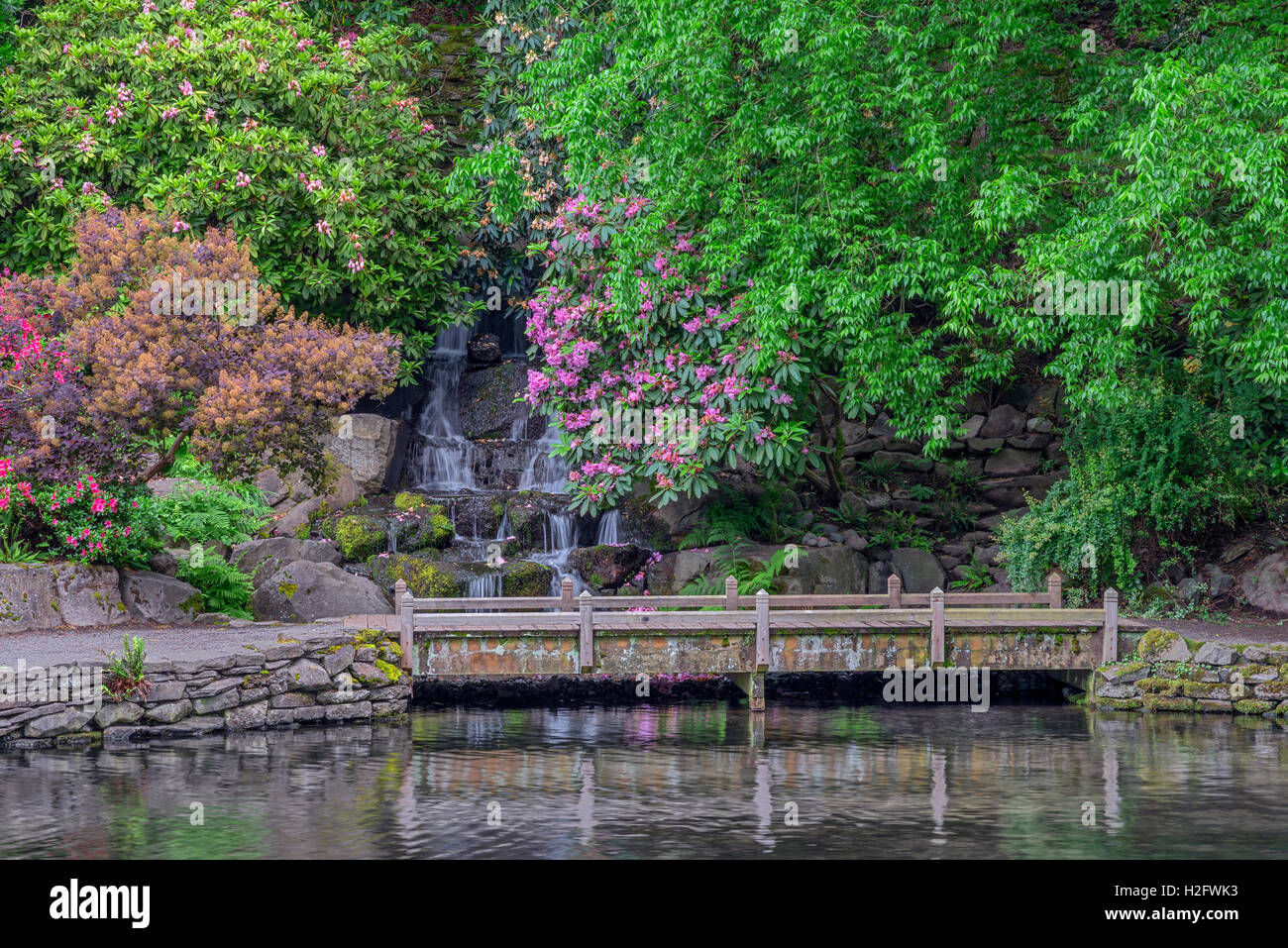 USA, Oregon, Portland, Crystal Springs Rhododendron Garden ...