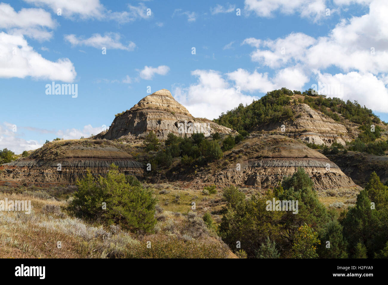 Theodore Roosevelt National Park, North Dakota Stock Photo - Alamy