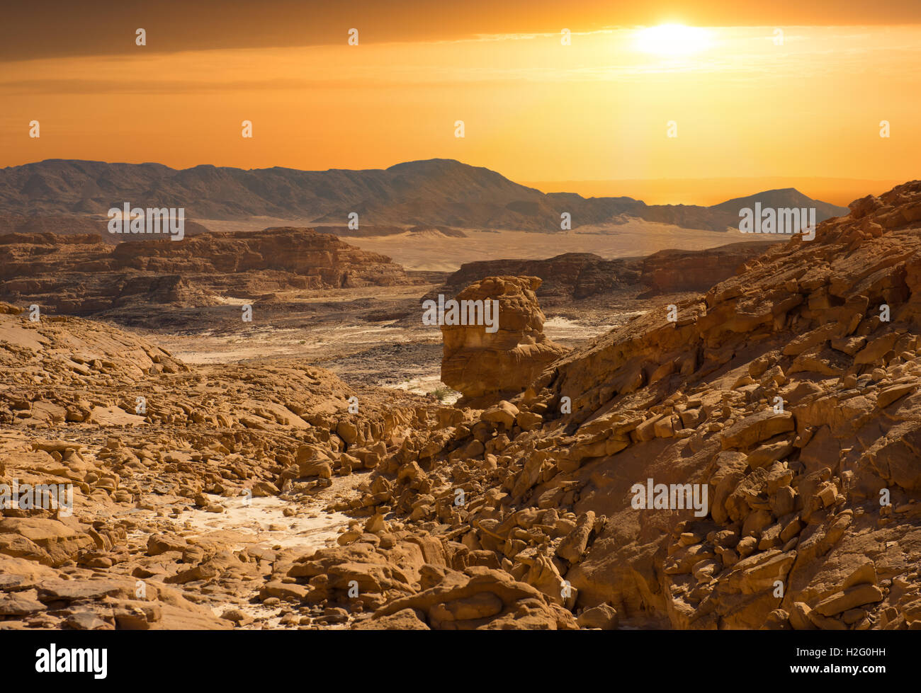 Sinai desert hi-res stock photography and images - Alamy