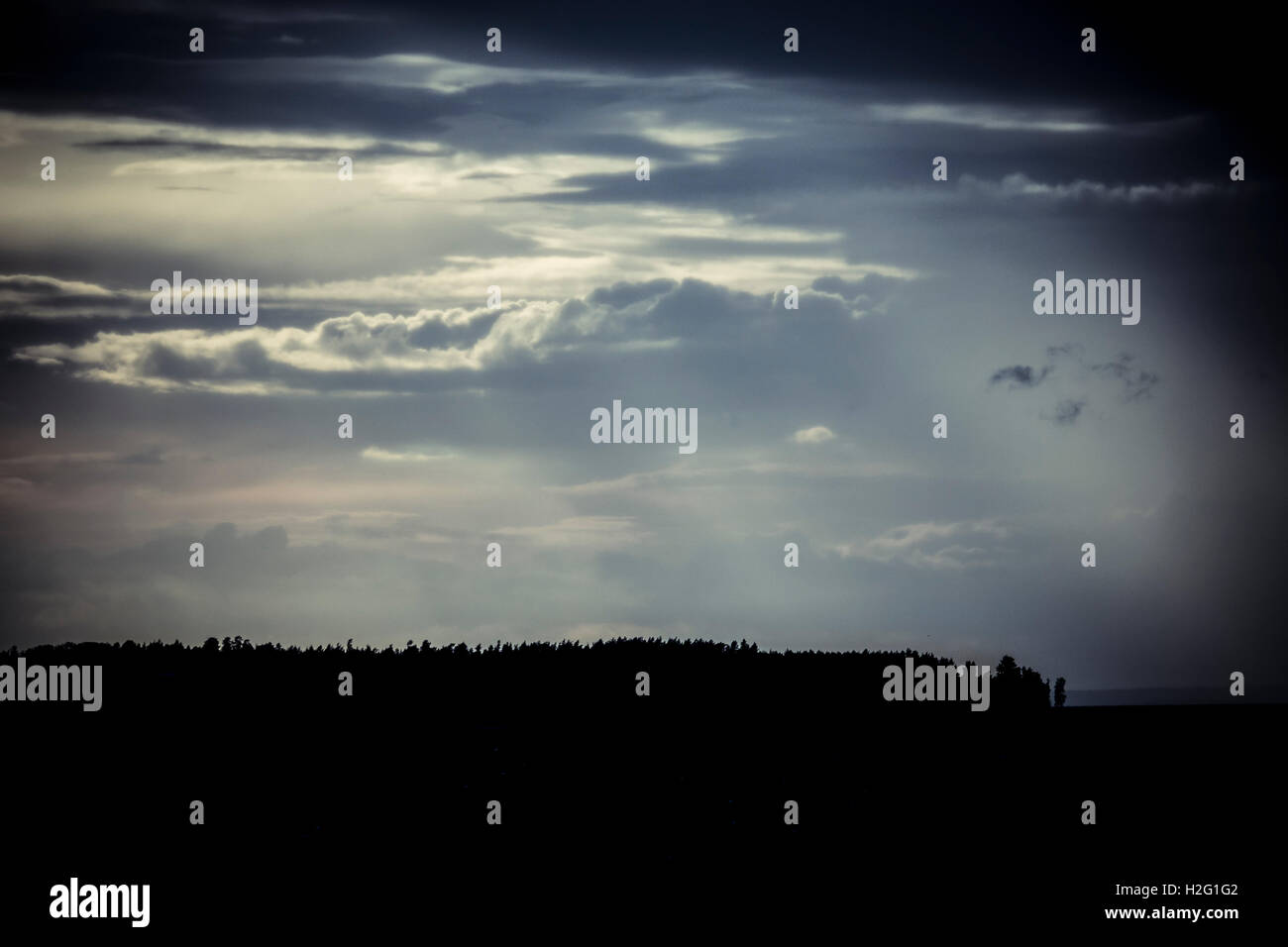 Dark landscape with silhouette of forest. Moody and ominous nature ...