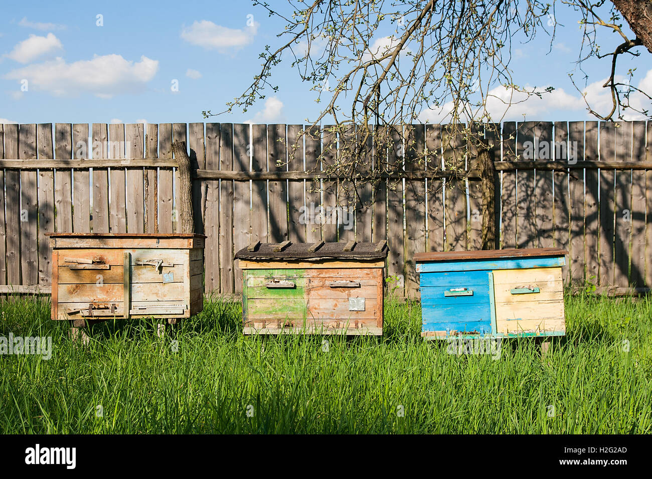 Several beehives in front of fence in the fruit garden in Ukraine ...