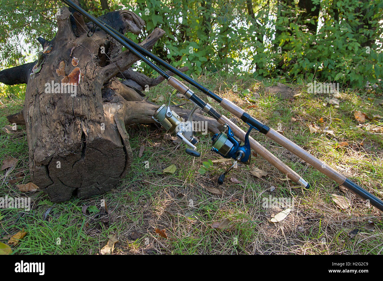 Fishing rods with reels on the natural background. Angler equipment ...