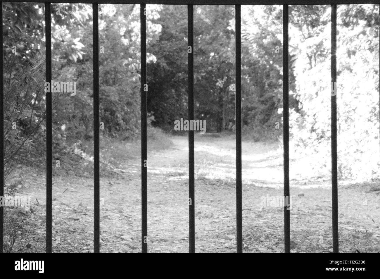 A gate in the nature Stock Photo - Alamy