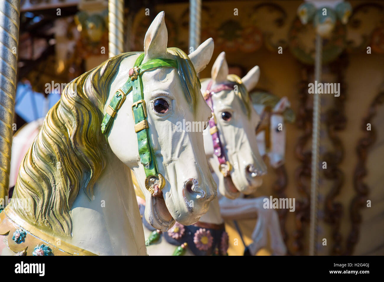 Close up of horses heads on a merry go round Stock Photo - Alamy