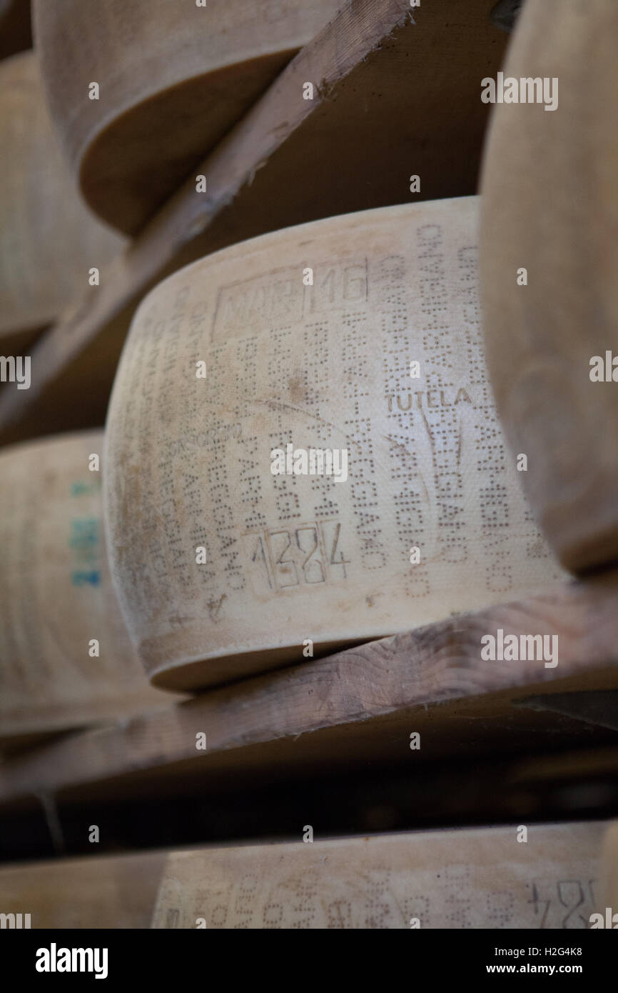 Parmigiano Reggiano Wheel High Resolution Stock Photography and Images ...