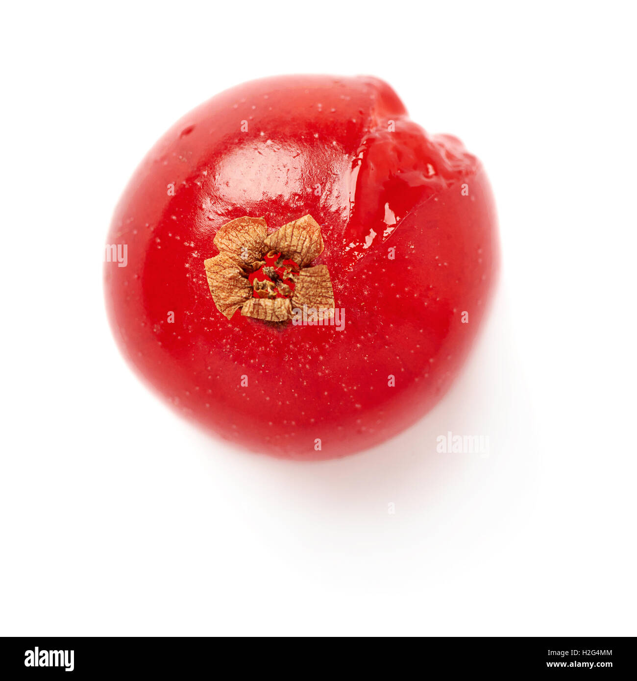 Single Red Currant isolated over white background Stock Photo - Alamy