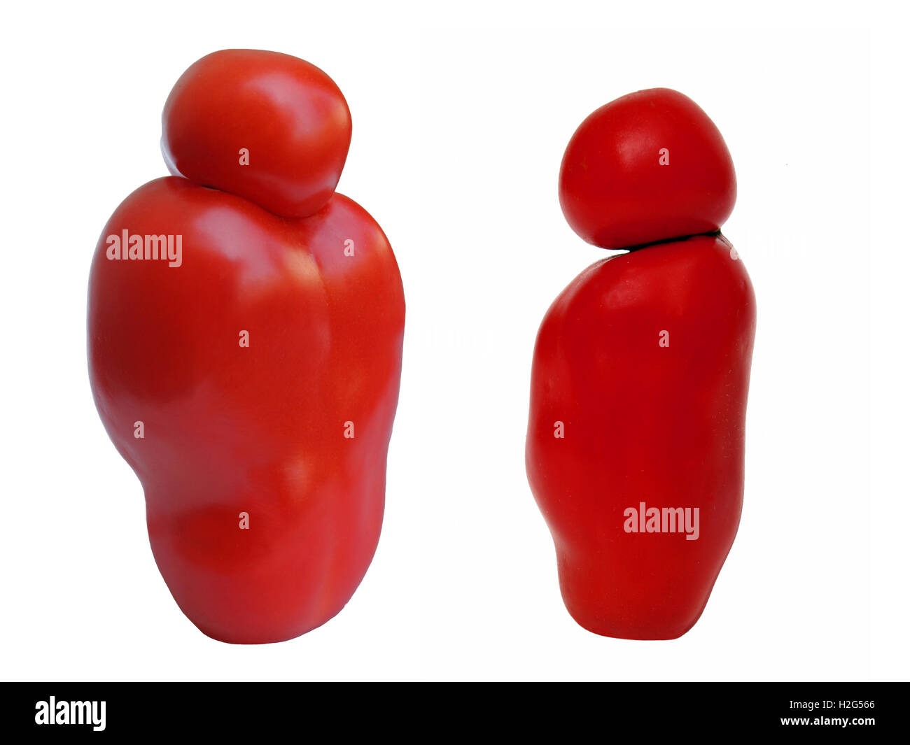 strange tomatoes ; natural deformation ; natural color Stock Photo - Alamy