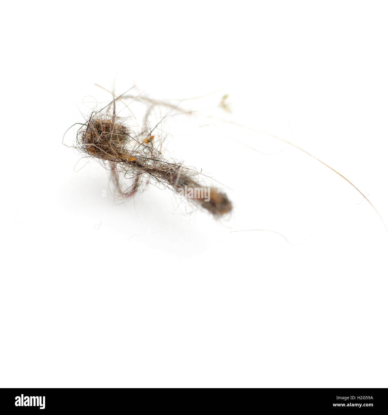 Ball dust isolated over the white background, macro Stock Photo - Alamy