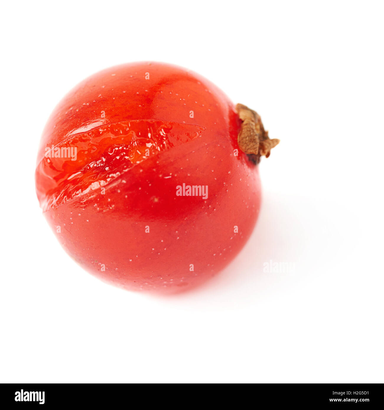 Single Red Currant isolated over white background Stock Photo - Alamy