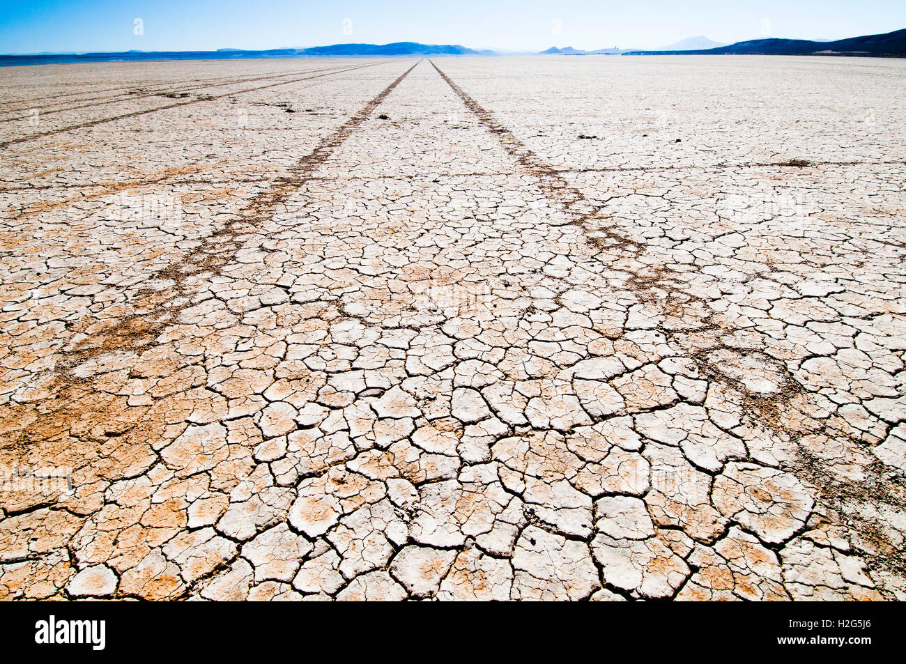Tire tracks in Alvord "Lake" (Playa) in the Alvord Desert in ...