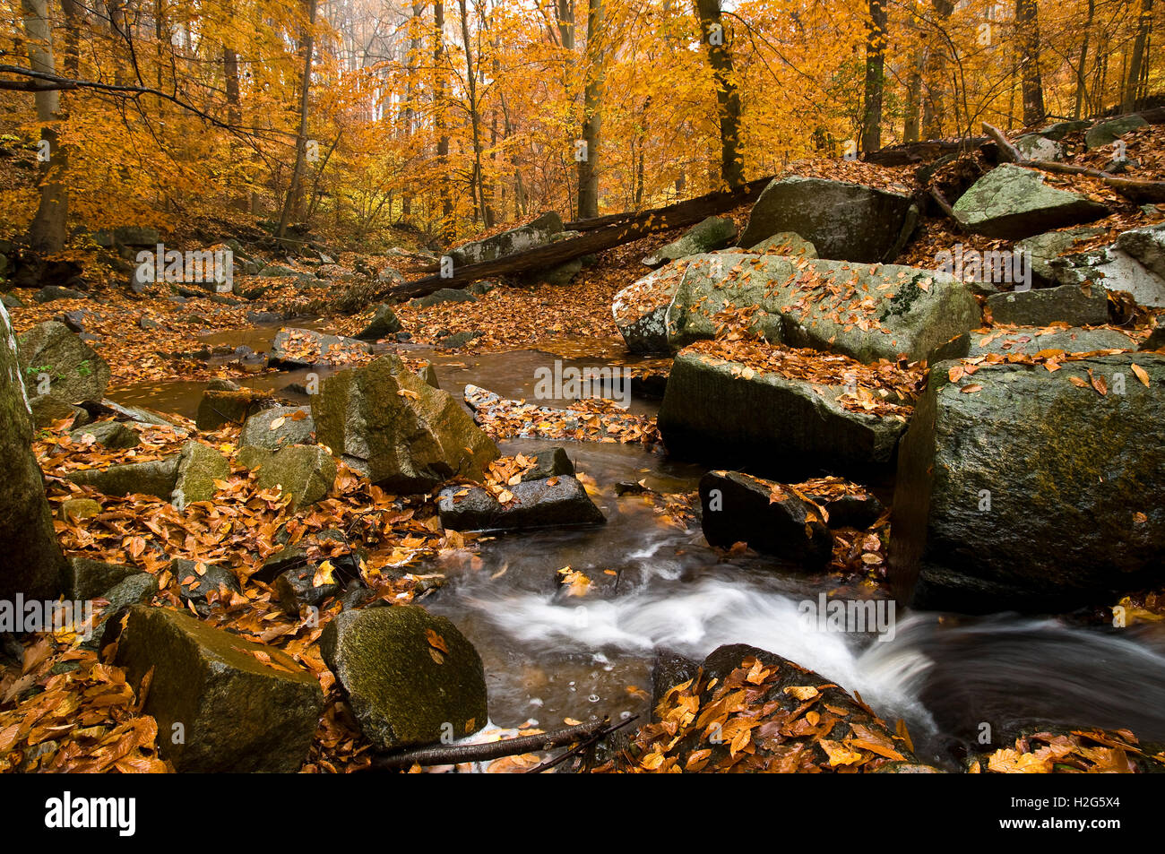 A small waterfall surrounded by bright fall colors Stock Photo - Alamy