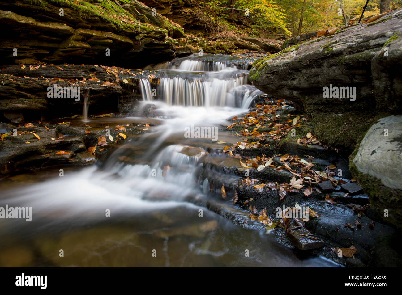 A small waterfall surrounded by bright fall colors Stock Photo - Alamy