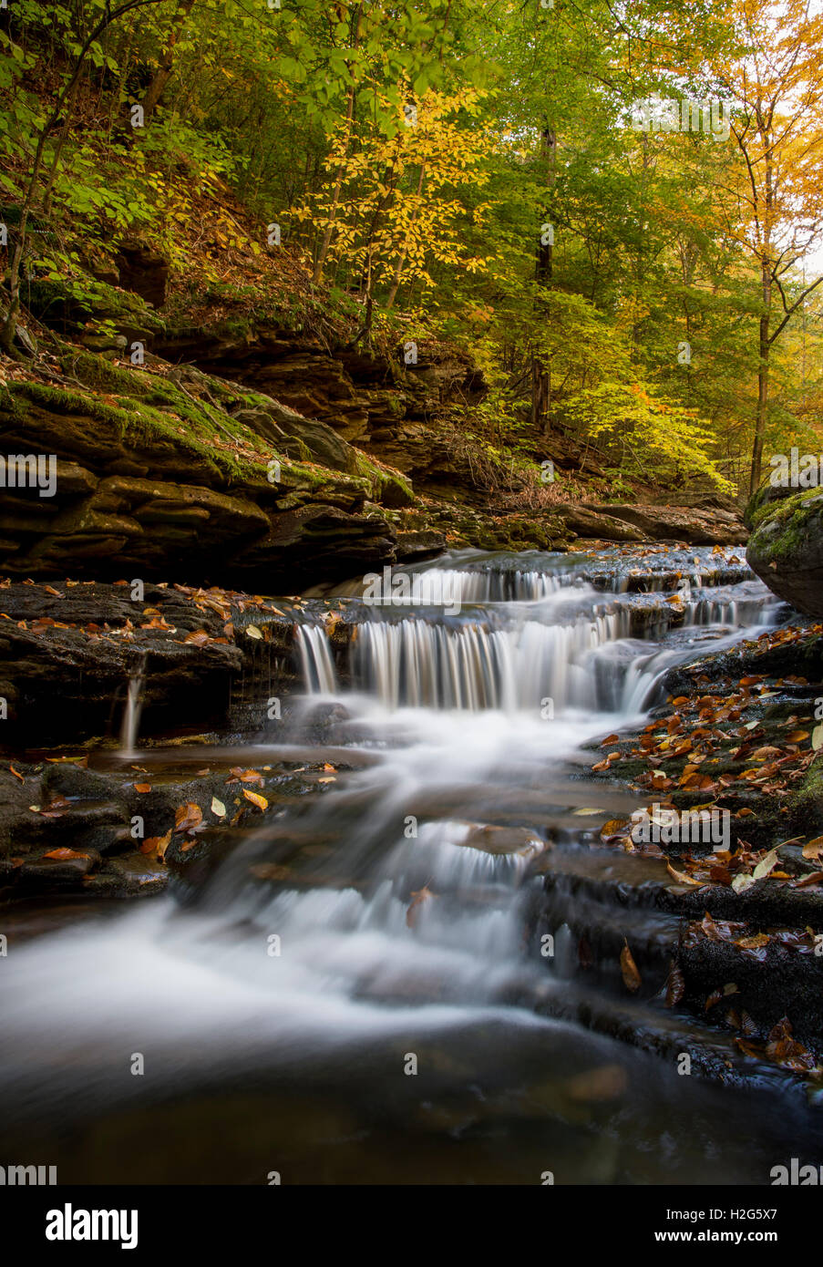 A small waterfall surrounded by bright fall colors Stock Photo - Alamy