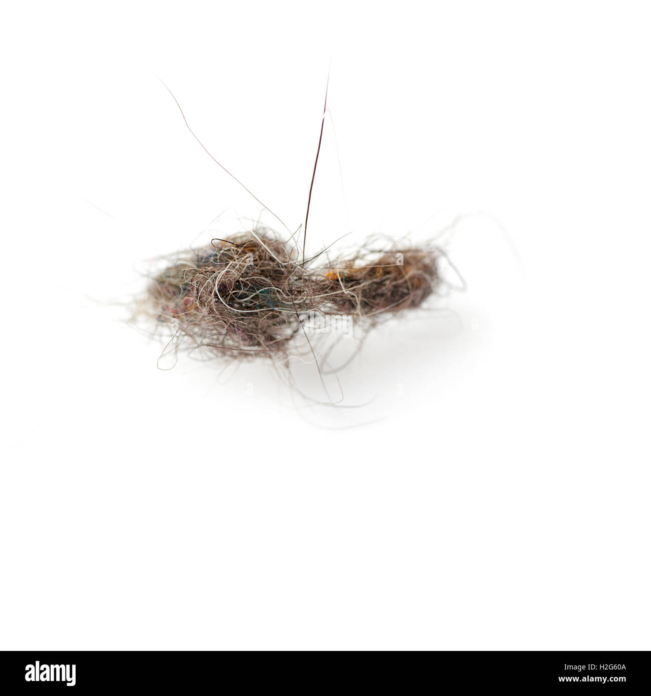 Ball dust isolated over the white background, macro Stock Photo - Alamy
