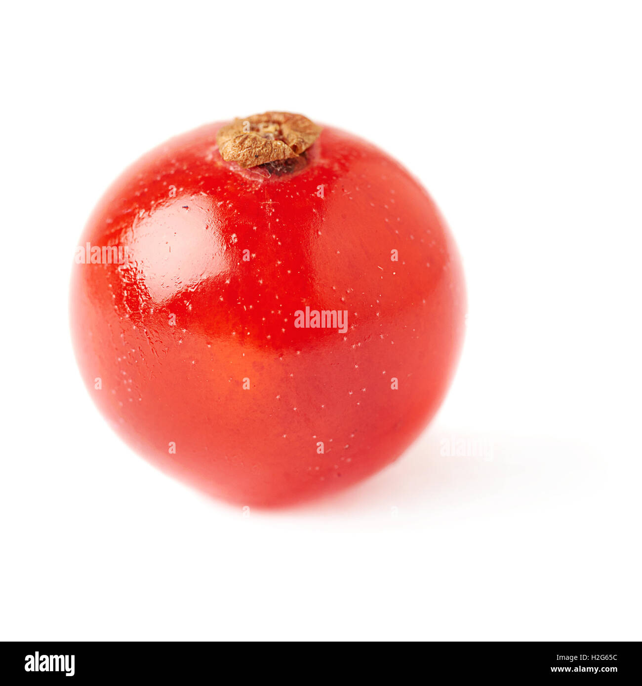Single Red Currant isolated over white background Stock Photo - Alamy