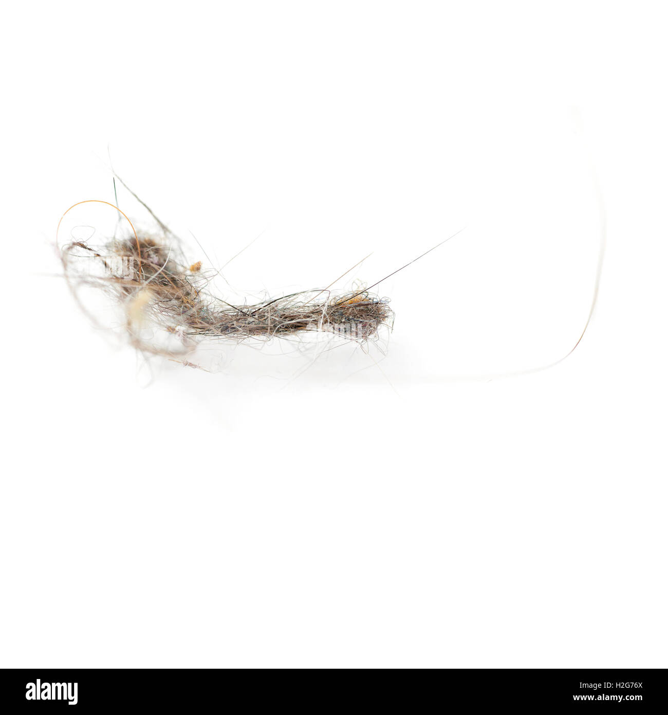 Ball dust isolated over the white background, macro Stock Photo - Alamy