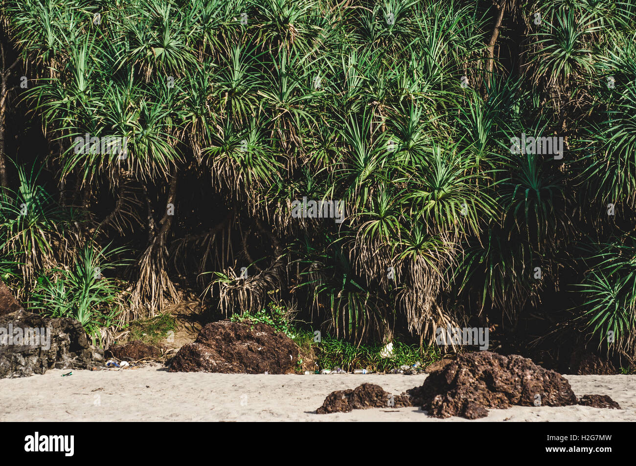 India, Goa, Keri Beach (Querim Beach Stock Photo - Alamy