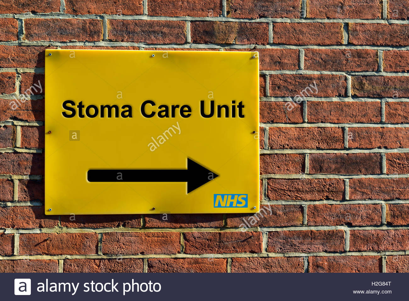 Stomate Or Stoma Or Stomates Or Stomata Stock Photos & Stomate Or Stoma ...