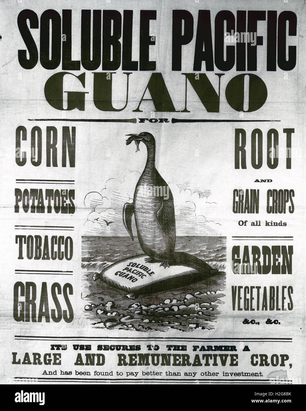 Guano islands hi-res stock photography and images - Alamy