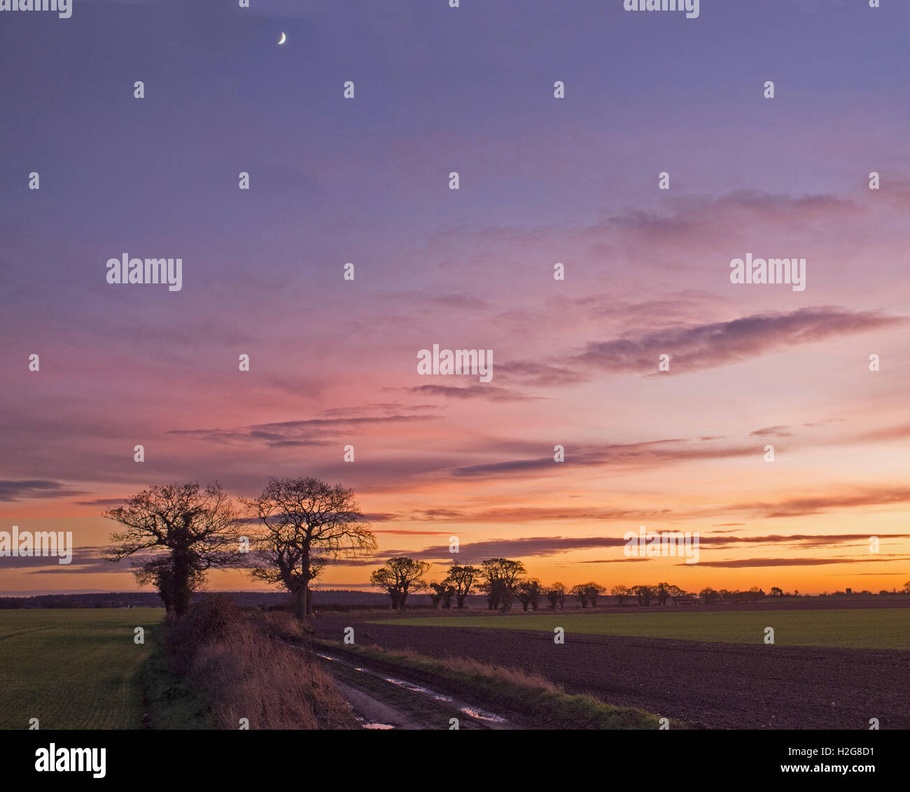 Sunset in countryside trees hi-res stock photography and images - Alamy