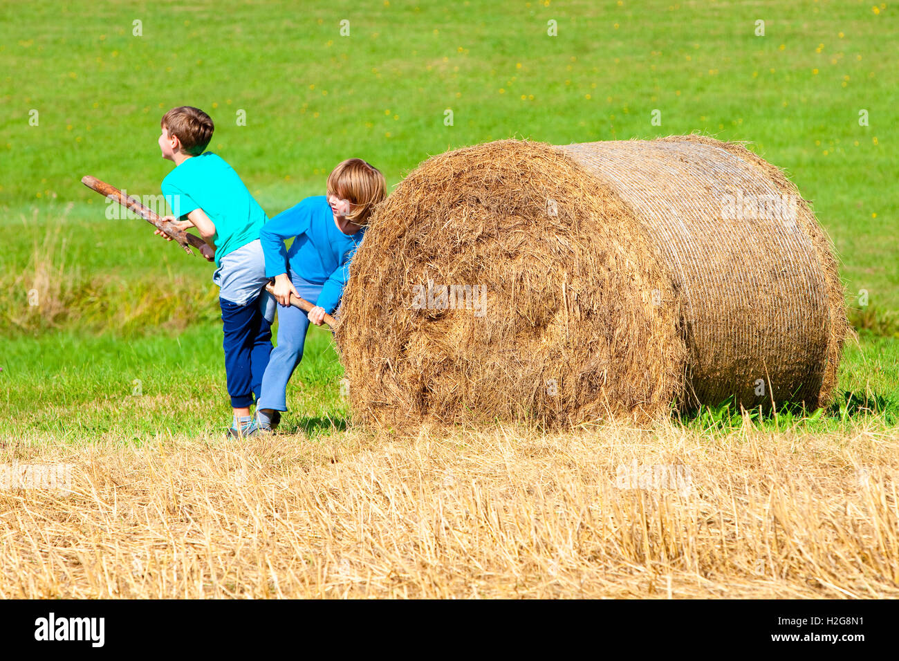 Crop Stick High Resolution Stock Photography and Images - Alamy