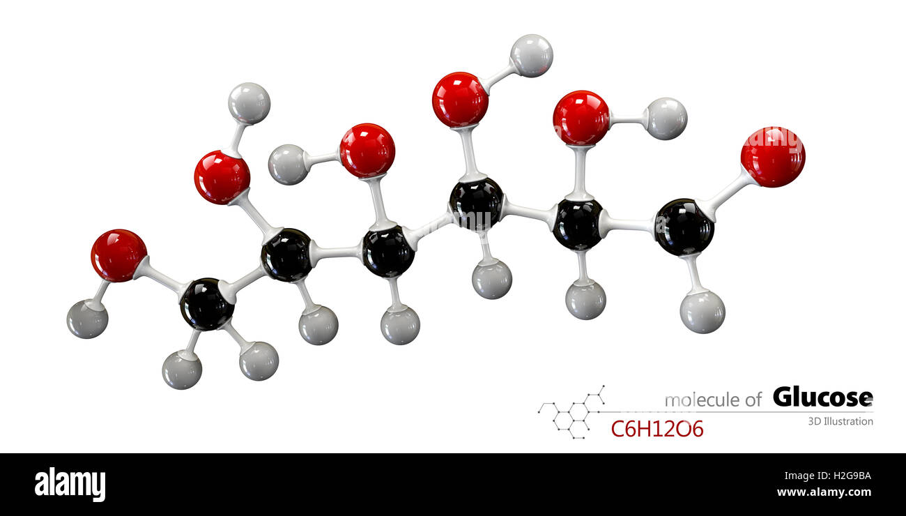 Glucose Molecule Linear