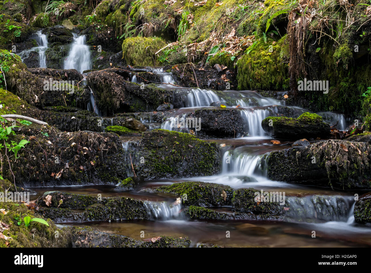 Balloch park hi-res stock photography and images - Alamy