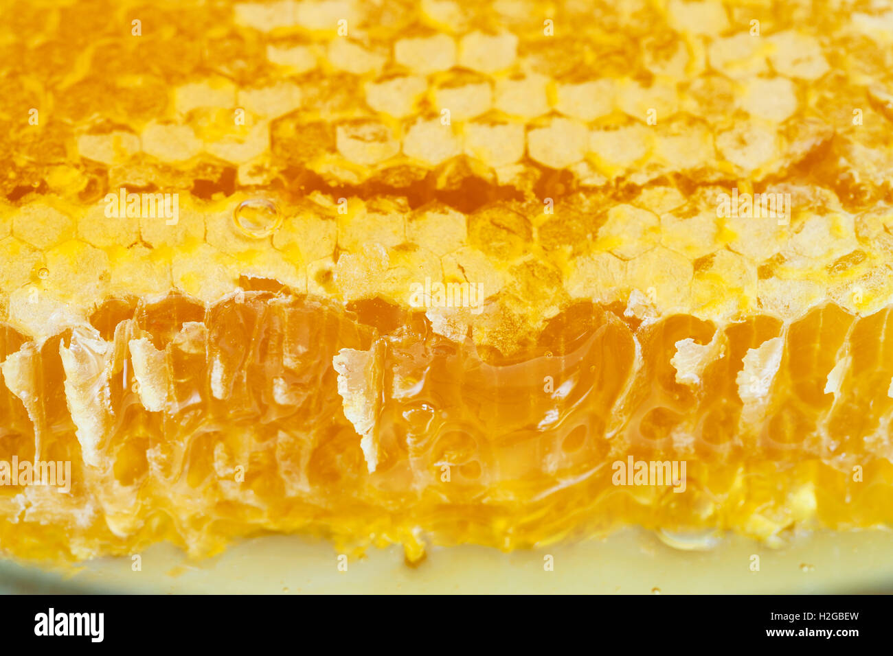 broken yellow honeycomb with honey on plate close up Stock Photo - Alamy