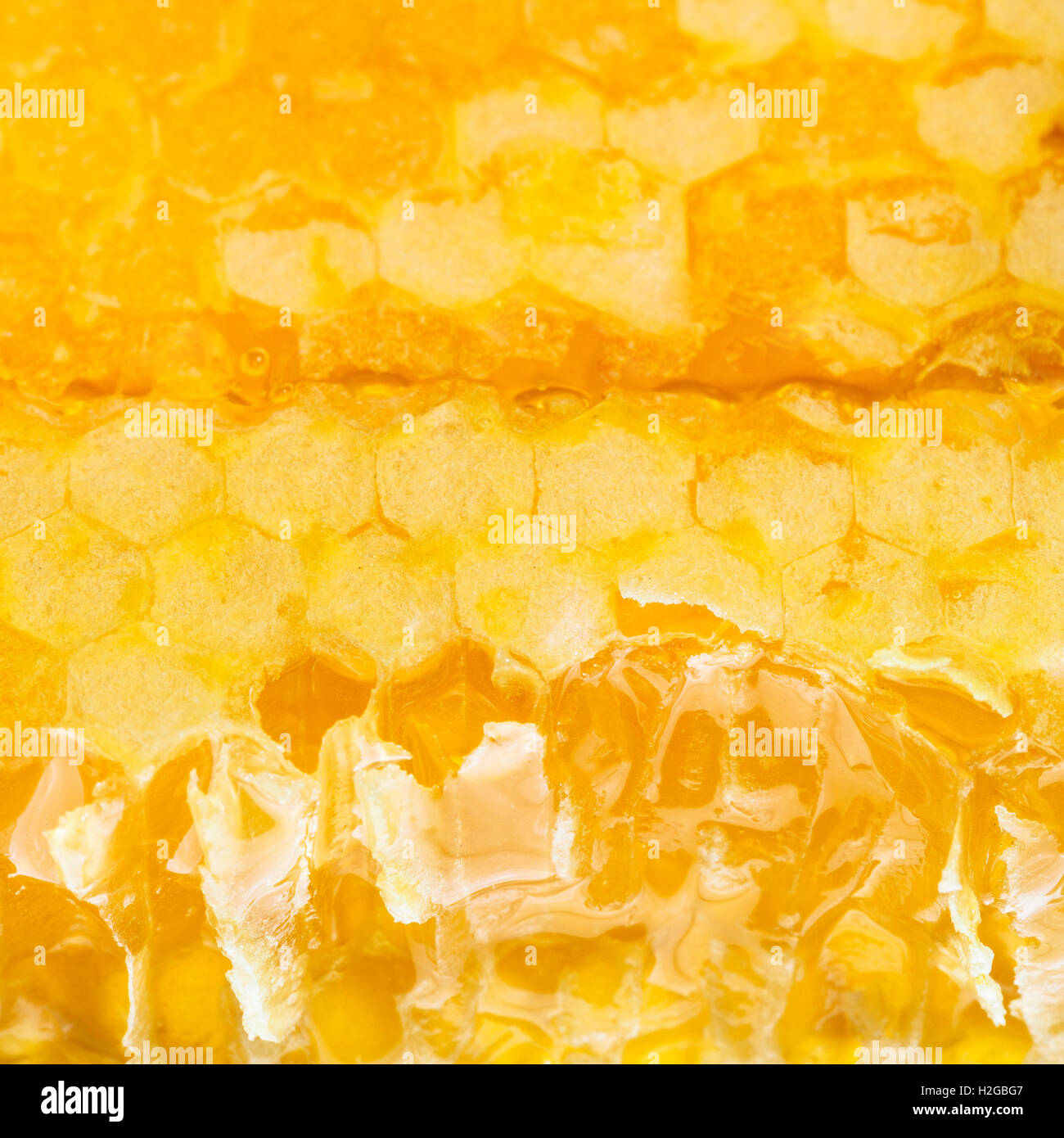 Broken comb hi-res stock photography and images - Alamy