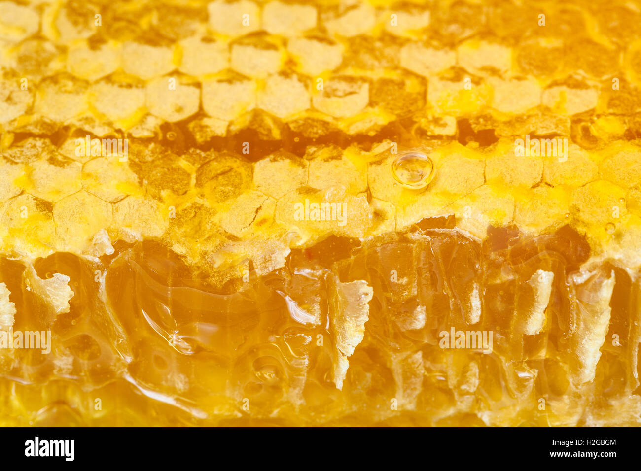 broken honeycomb with flowing honey close up Stock Photo - Alamy