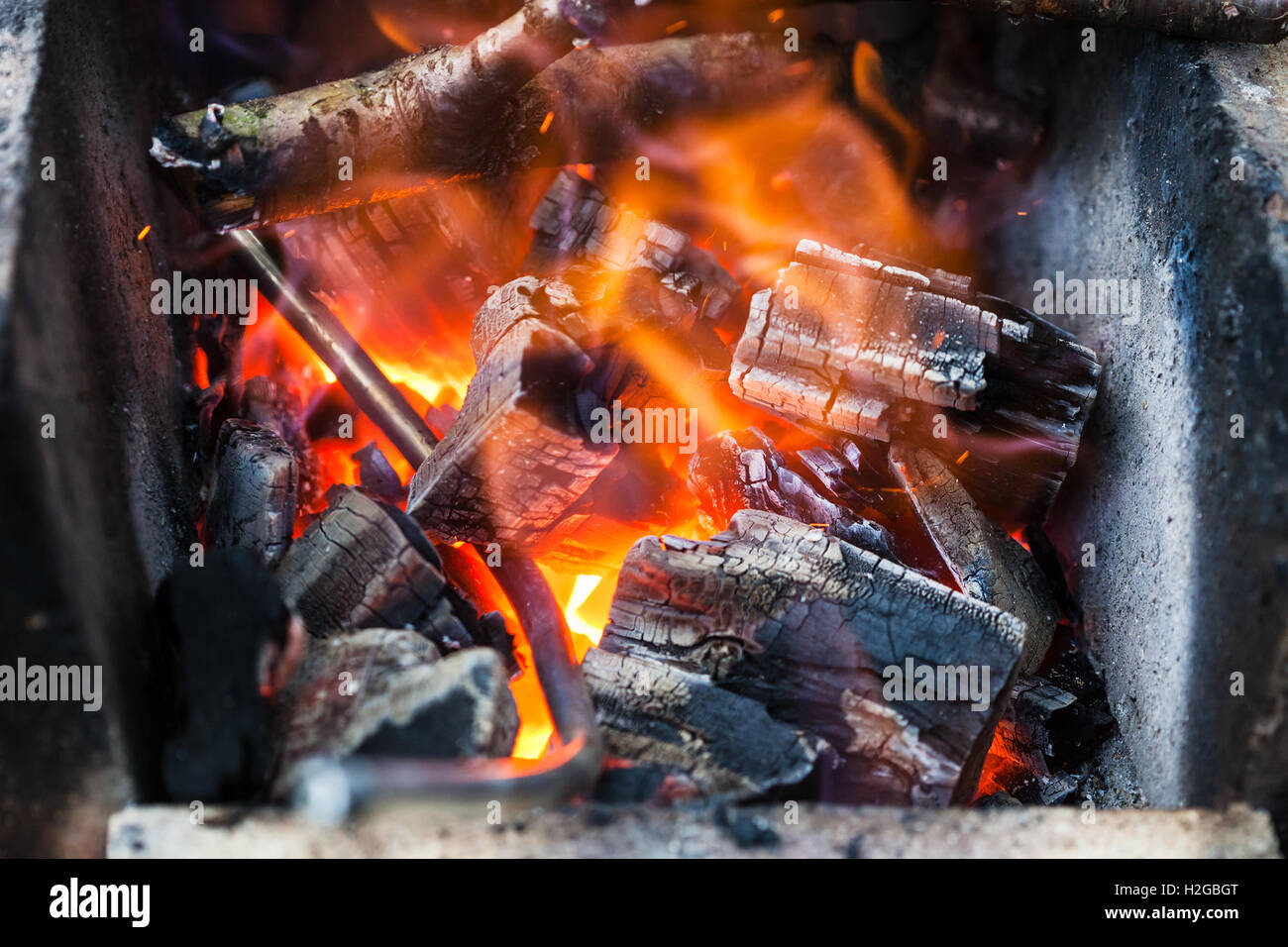 iron rod is heated in burning wooden coals in the forge furnace close ...