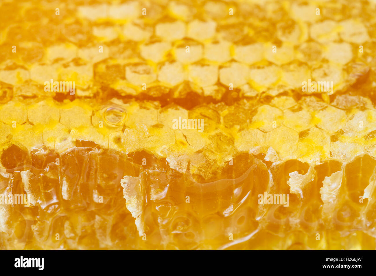 broken fresh honeycomb with honey close up Stock Photo - Alamy