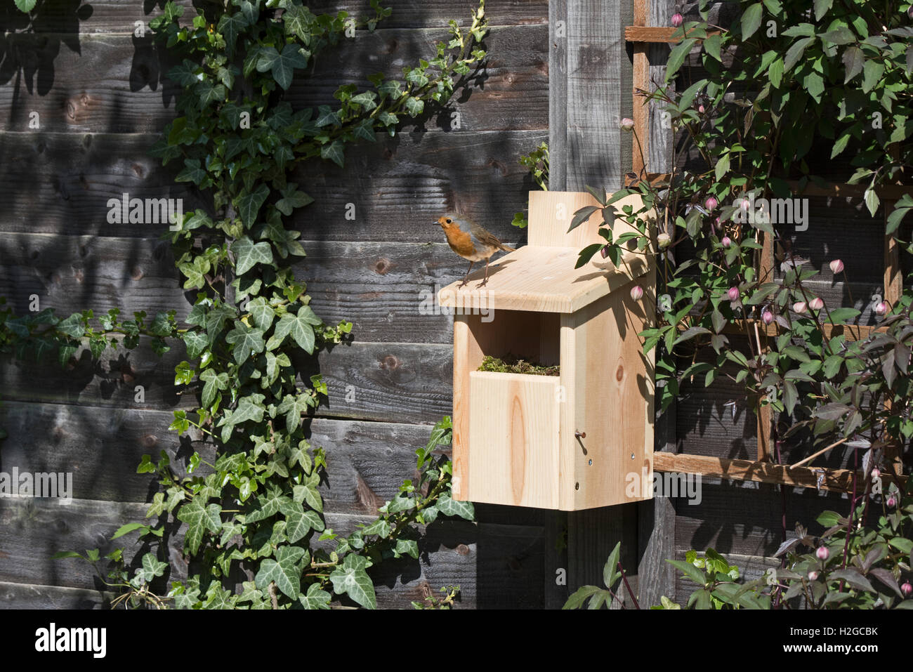 Open fronted hi-res stock photography and images - Alamy