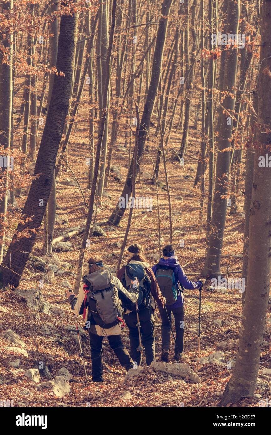 Young women walking in a forest Stock Photo - Alamy