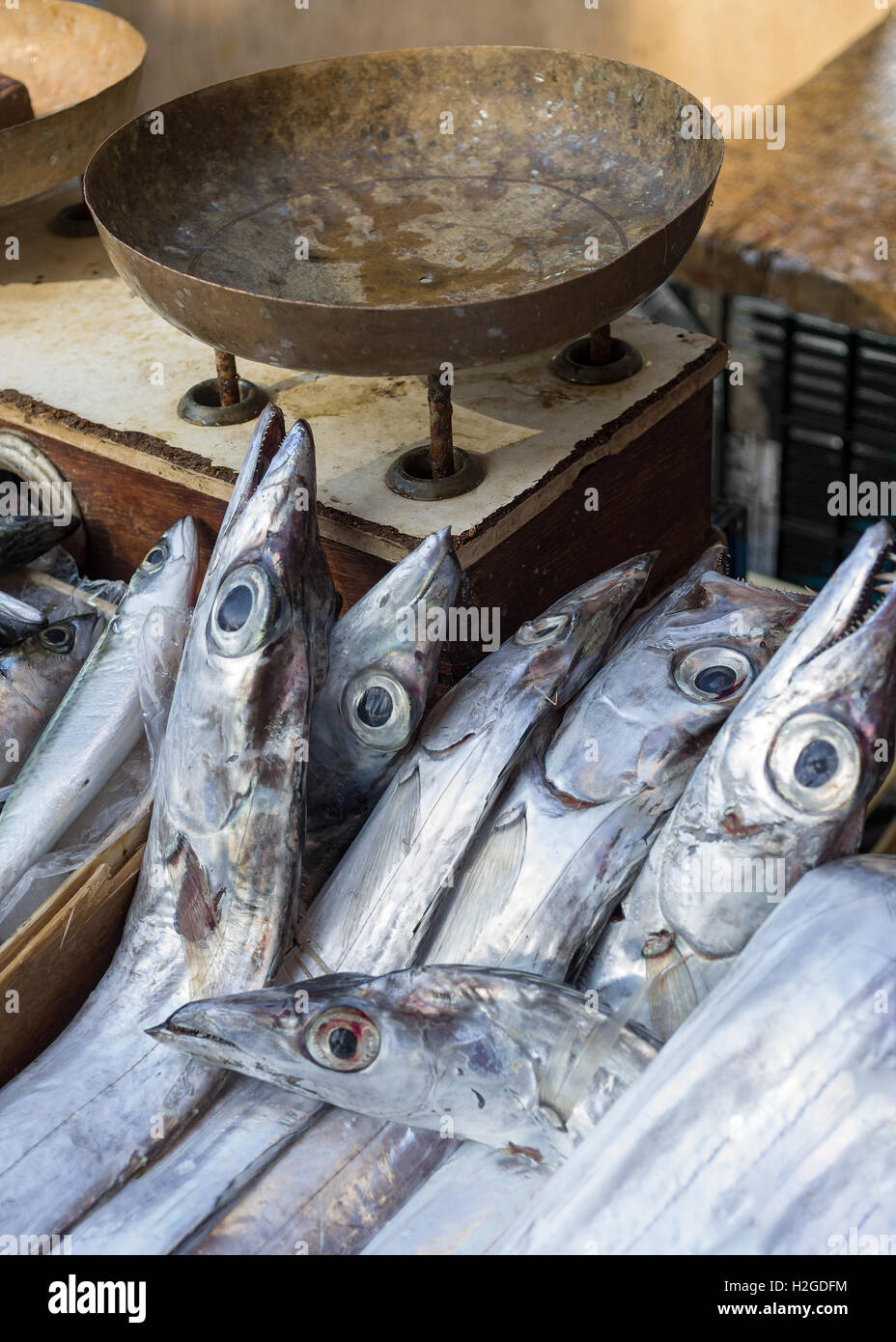 Black Scabbardfish High Resolution Stock Photography and Images - Alamy